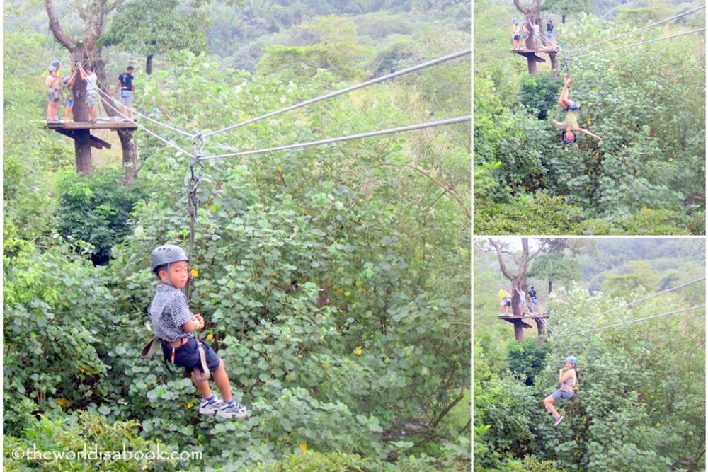 Mayan Jungle Canopy zip-n-dip | Caribbean Adventures Roatan - Tours ...