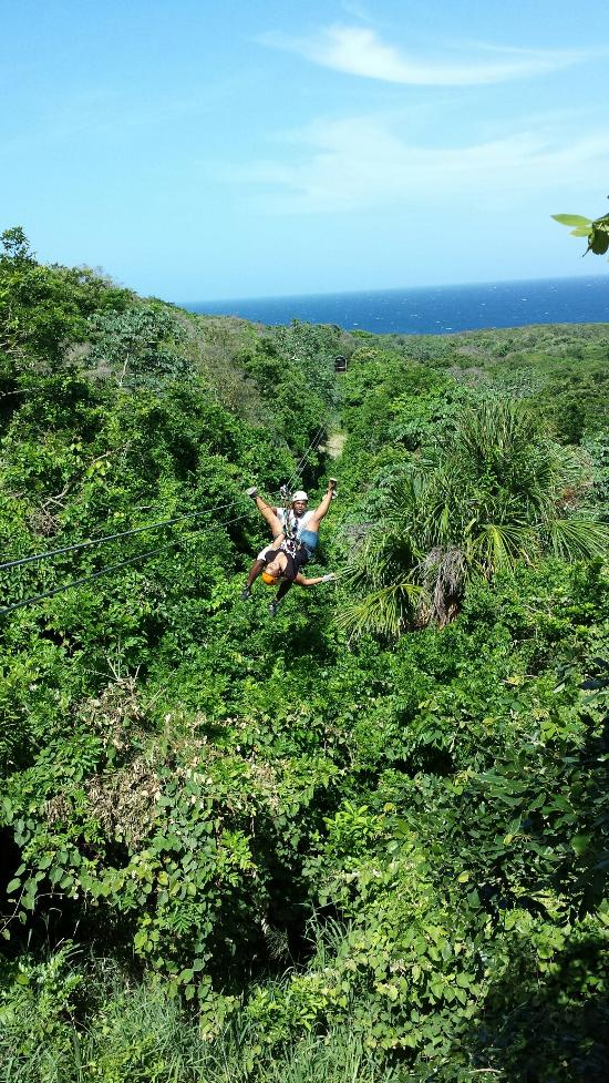 South Shore Canopy Zip Line Tour | Caribbean Adventures Roatan - Tours ...