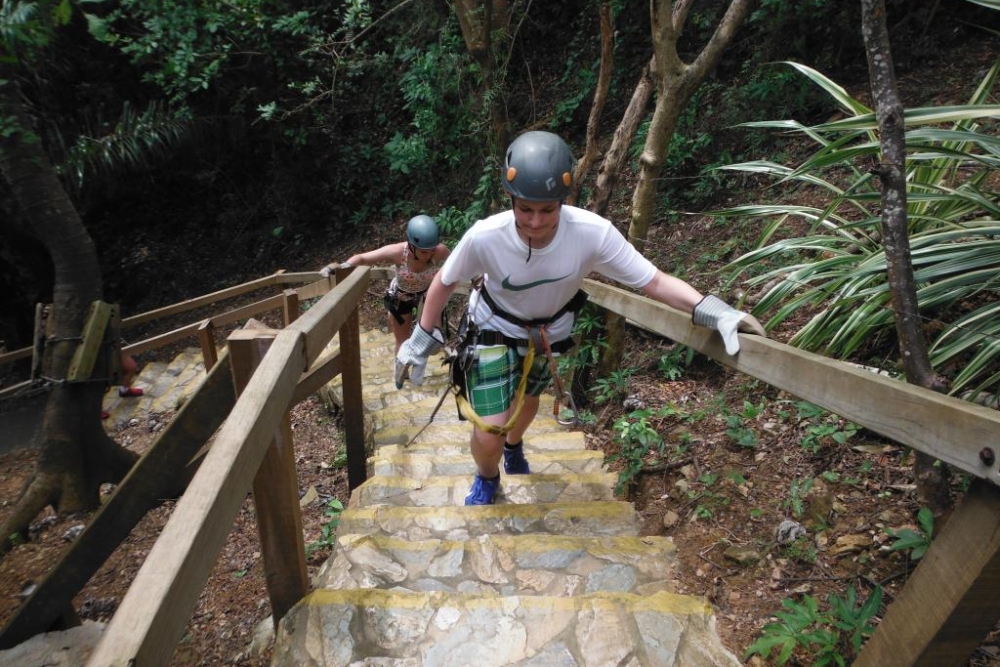 South Shore Canopy Zip Line Tour | Caribbean Adventures Roatan - Tours ...